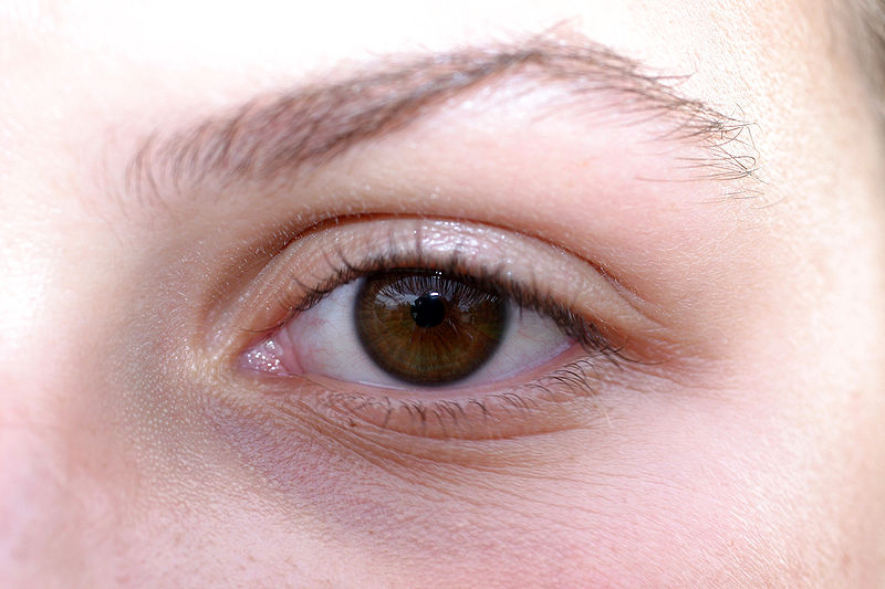 Chương trình thay Thuỷ tinh thể (Mắt) - Giáo phận Bắc Ninh